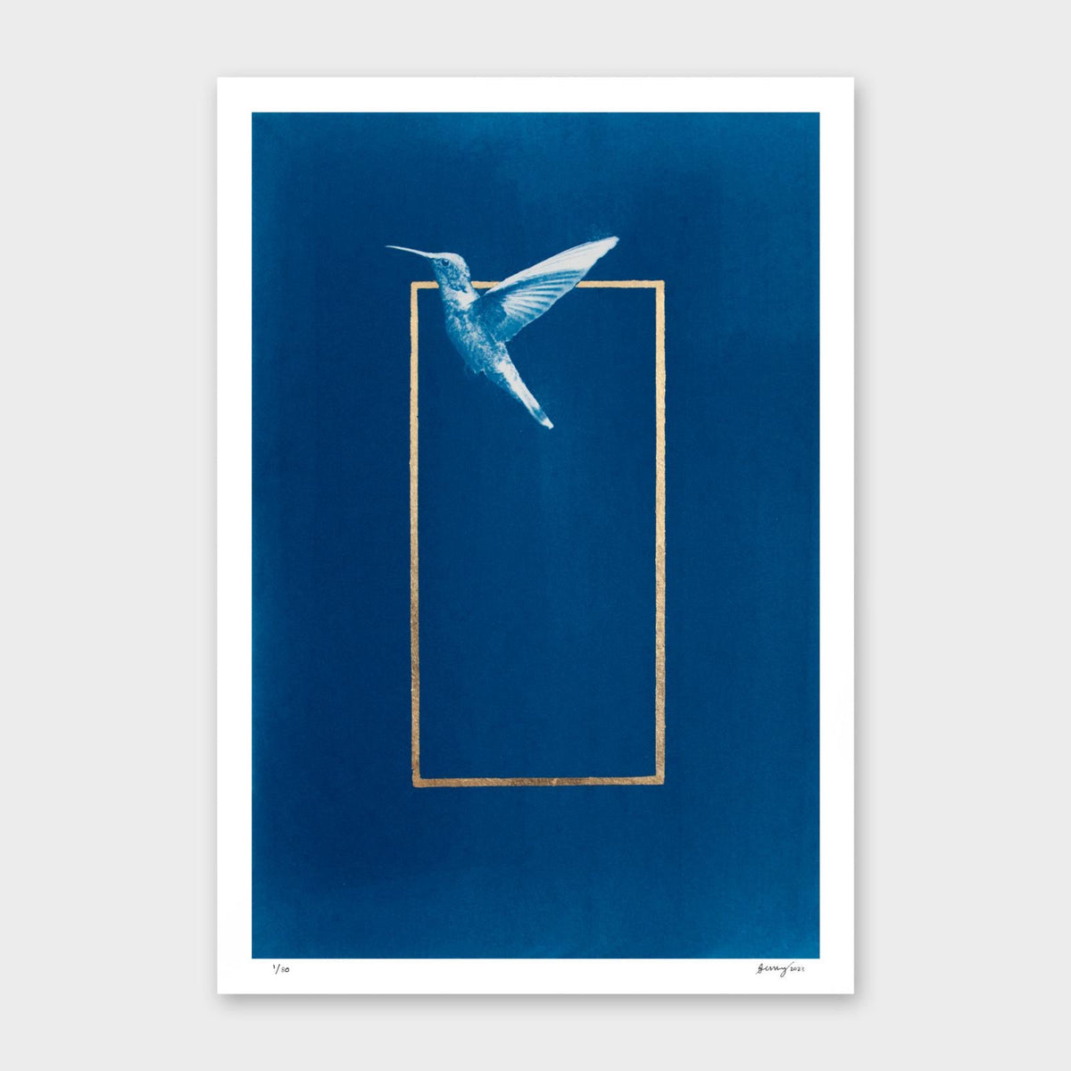 Wisdom of Birds: Hummingbird A4 – The Mandarin Tree