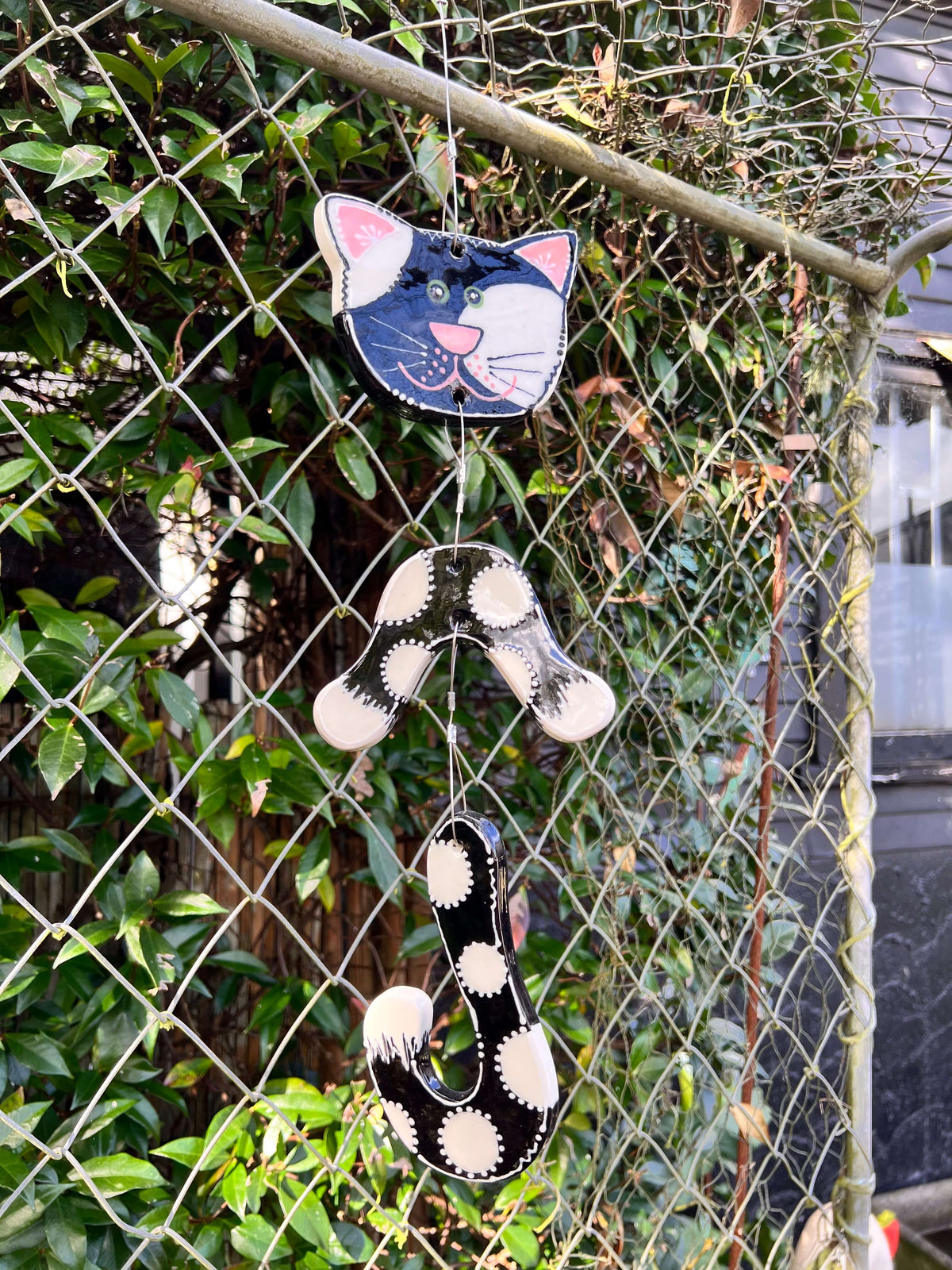 Cat Hanging – The Mandarin Tree