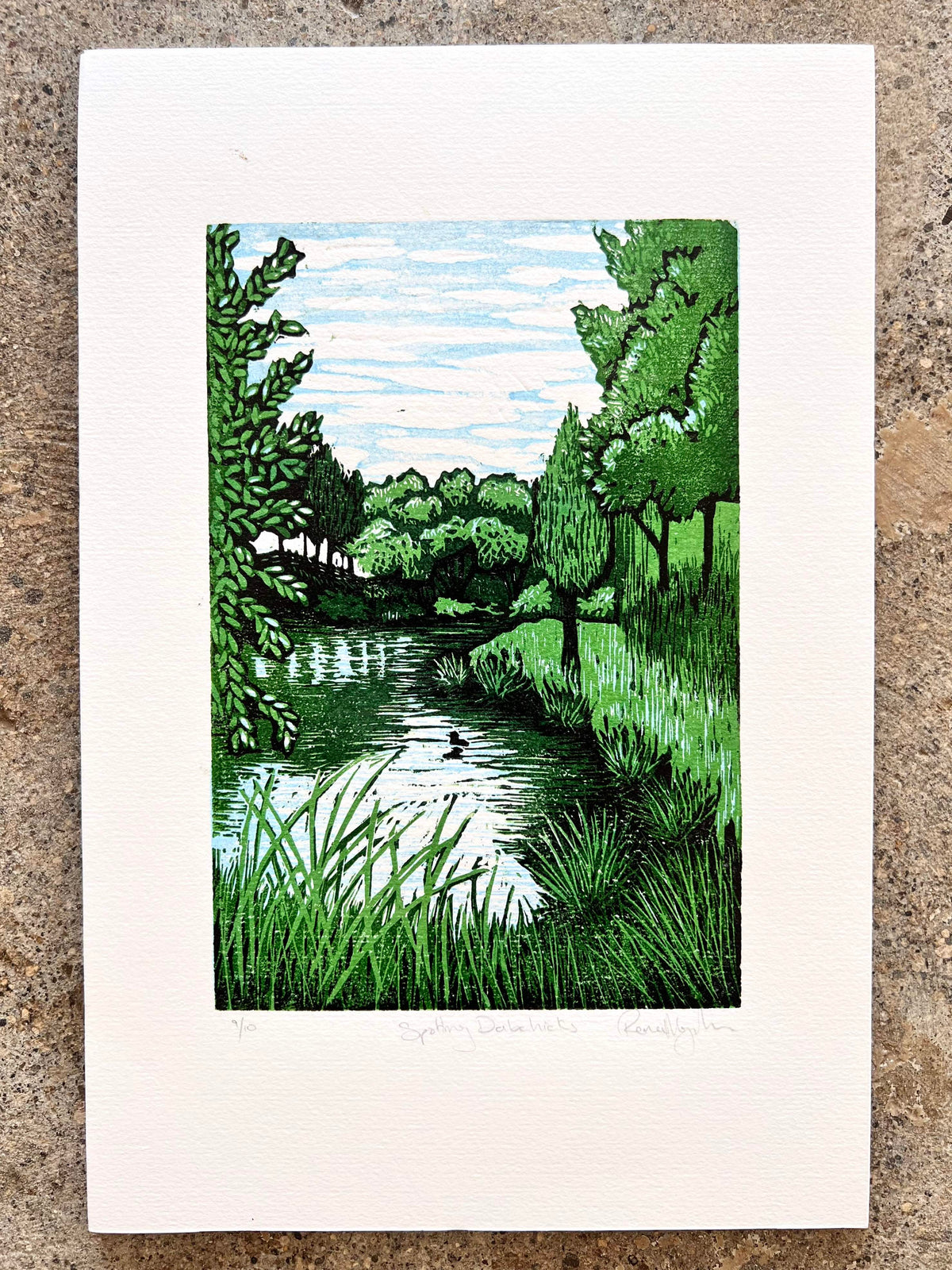 Spotting Dabchicks – The Mandarin Tree