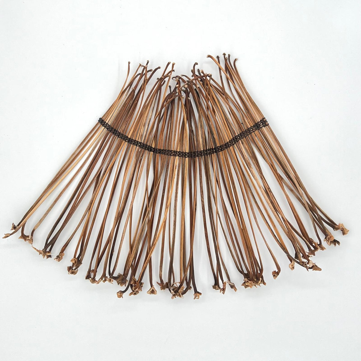 The Forest Hasn't Told You All It's Secrets Yet – The Mandarin Tree