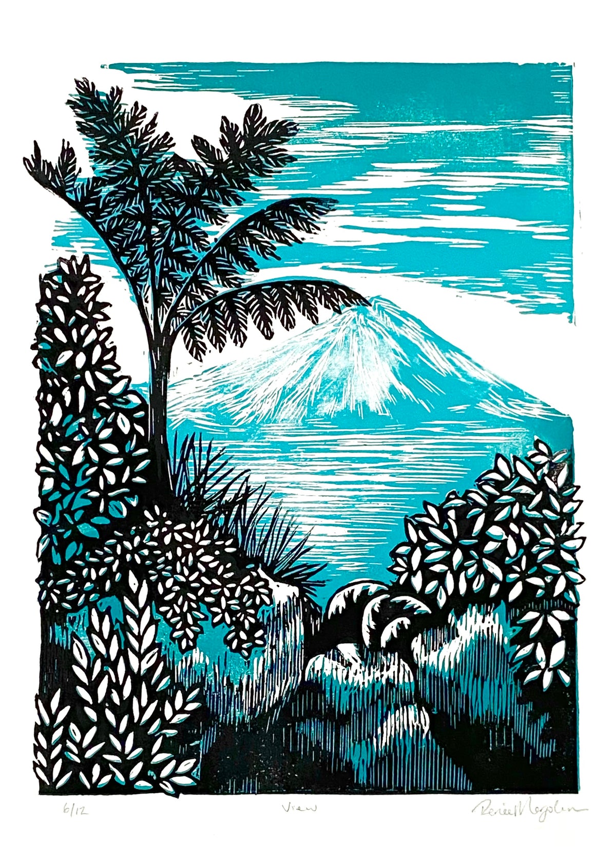 View 6 – The Mandarin Tree