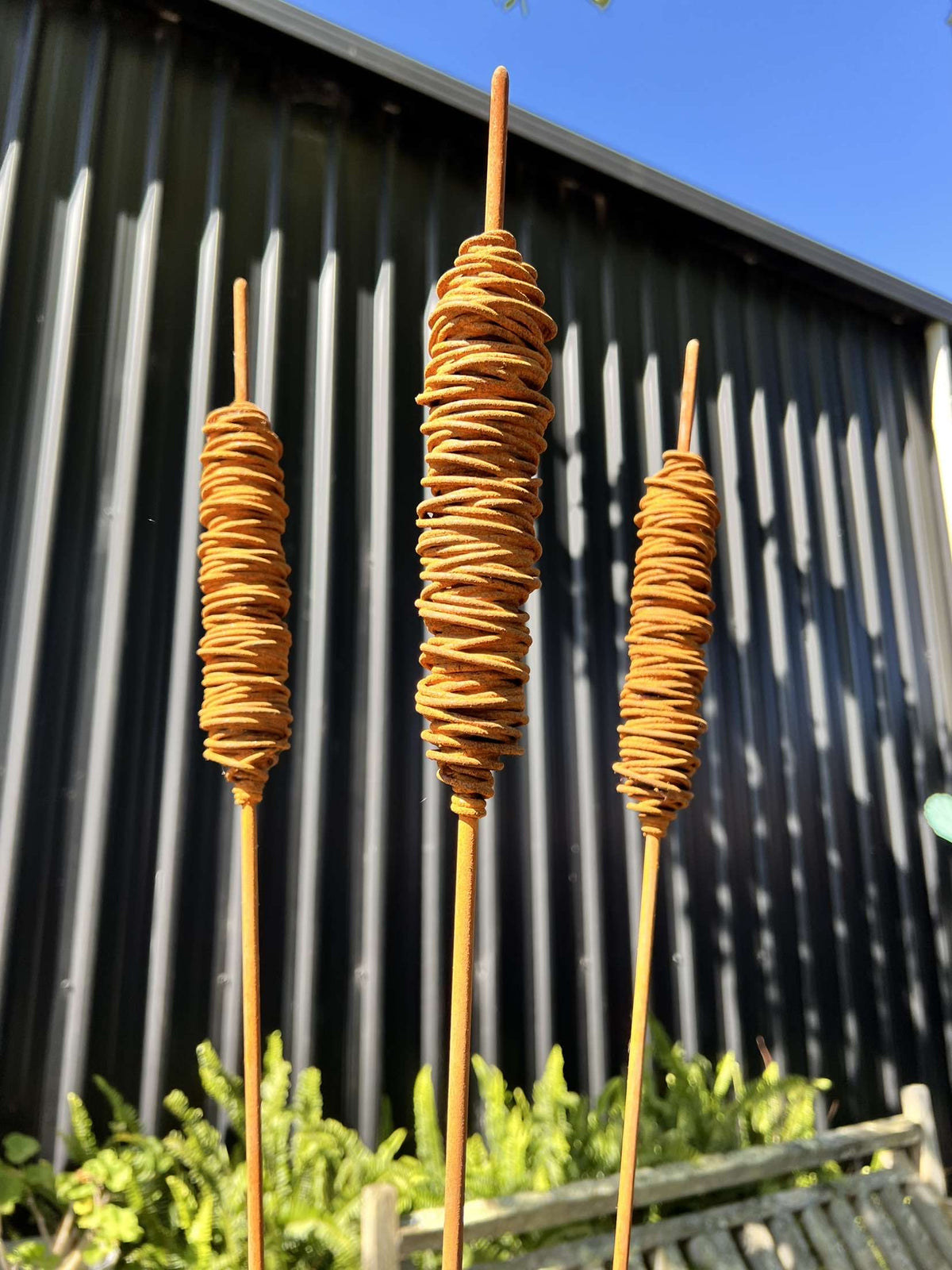 Raupo – The Mandarin Tree