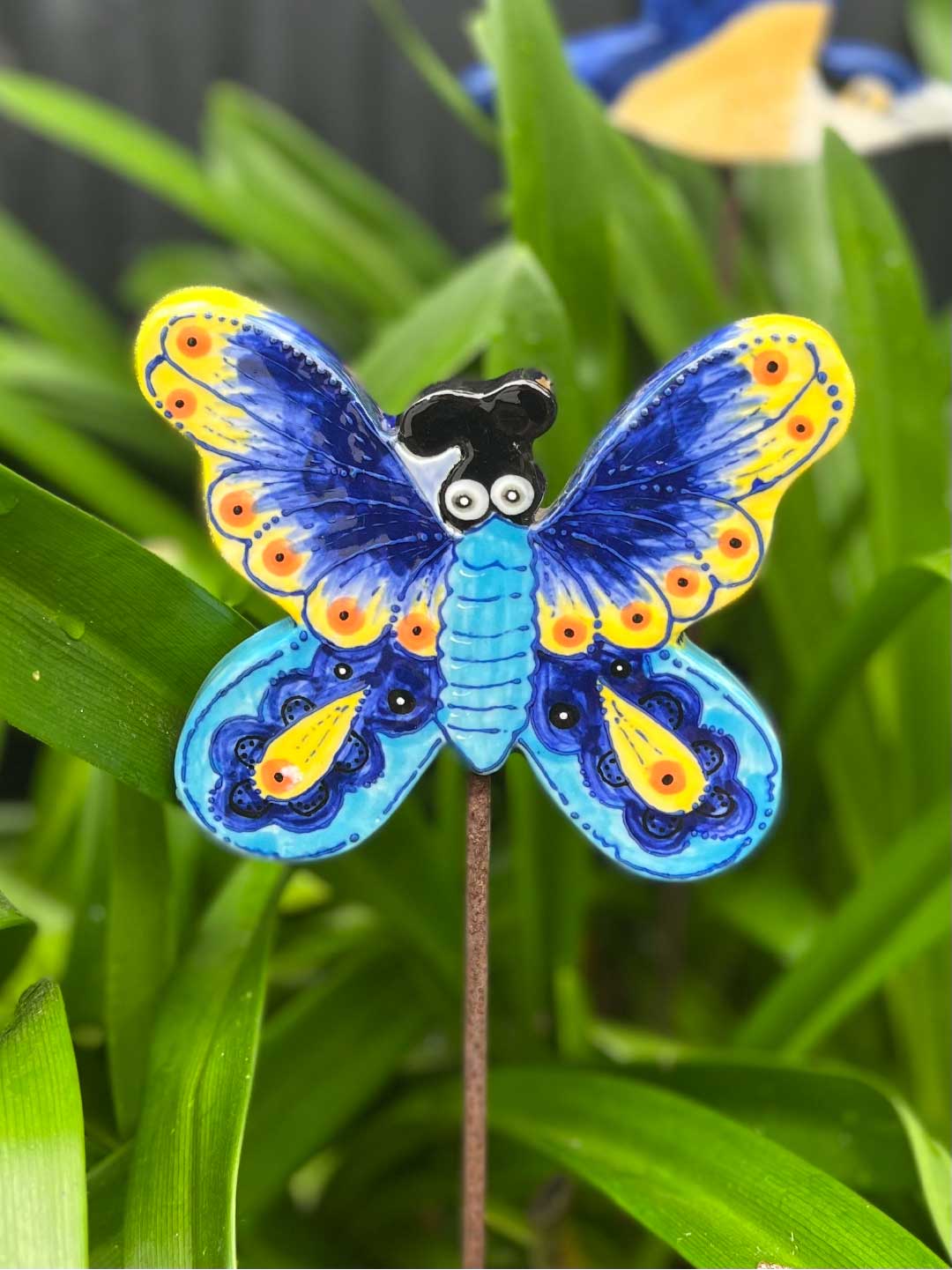 Blue butterfly – The Mandarin Tree