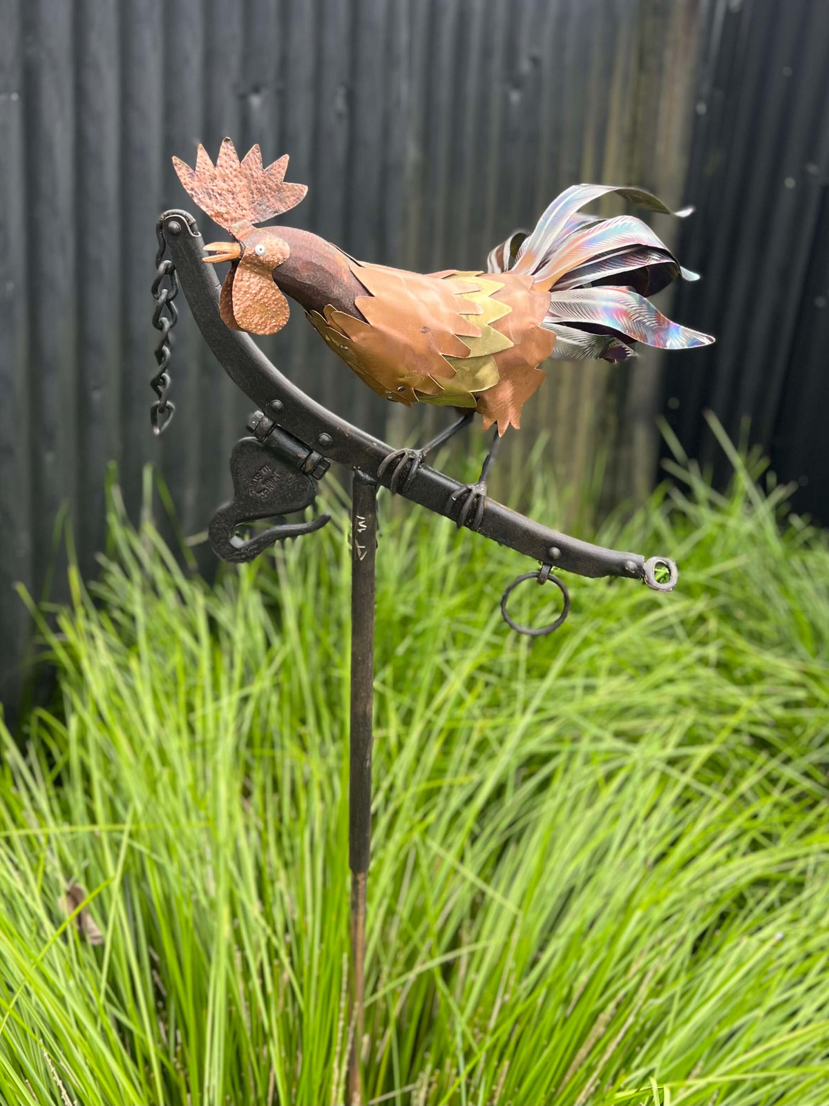 Rooster on Hame – The Mandarin Tree