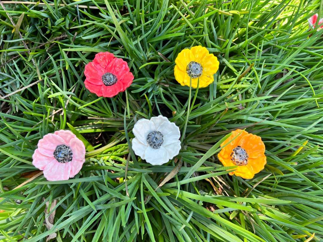 Mixed Poppies – The Mandarin Tree